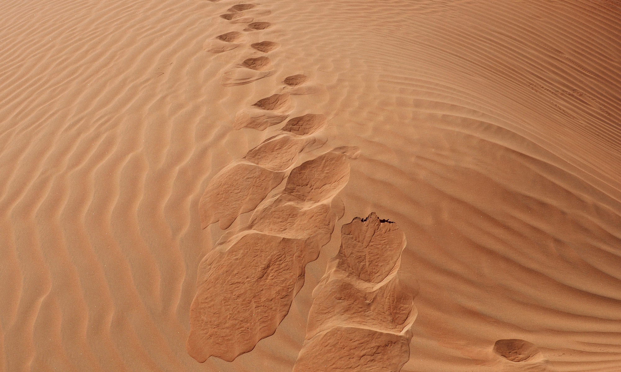 Maskat Hafen (Oman) Tipps & Ausflüge » Auf eigene Faust » Kreuzfahrer-Guide